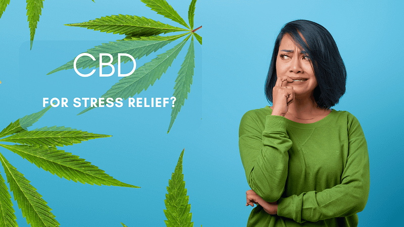 Can CBD Reduce Stress? - Purple Leaf Bath CBD Bath & Body