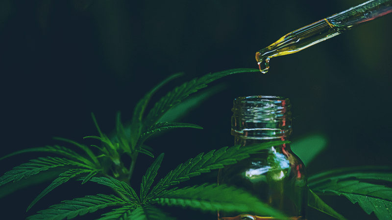 The Science Behind CBD and Skin Health - Purple Leaf Bath CBD Bath & Body